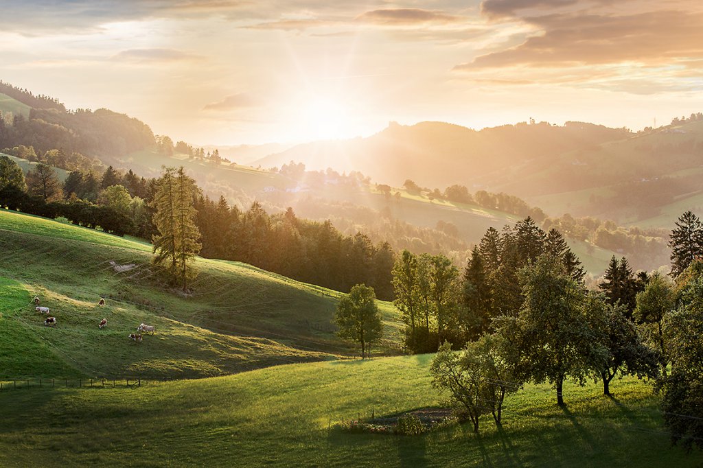Das Mostviertel erleben - Relax Resort Kothmühle